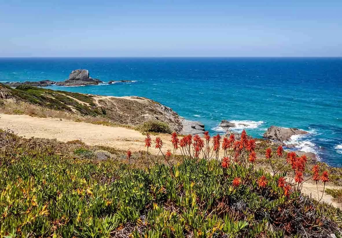 Walking in Rota Vicentina: Fisherman's Trail in 7 days