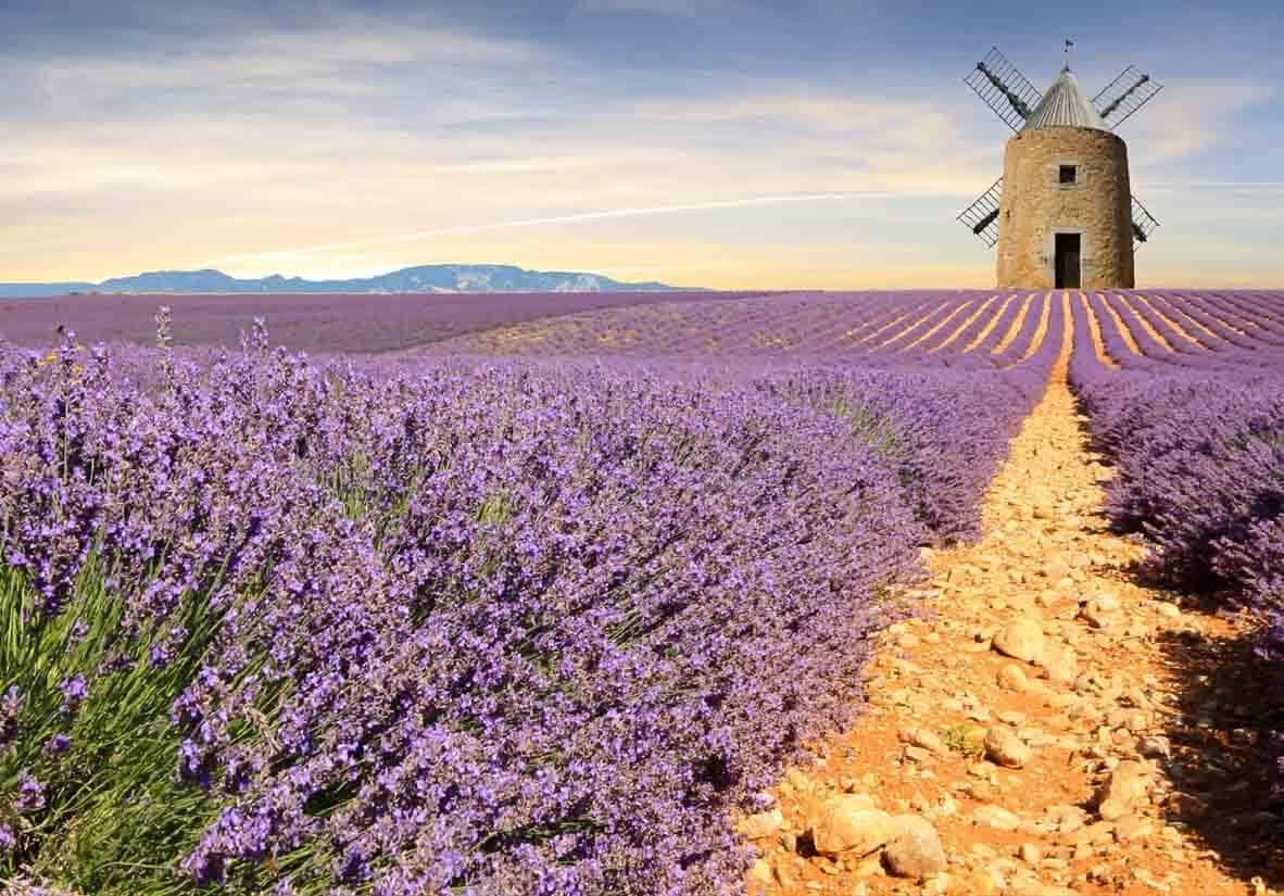 Walking in Provence | Route through the medieval region of Provence ...