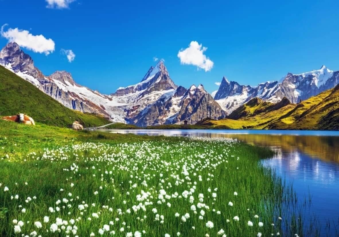 Walking Trip in Switzerland | Tour the Swiss Alps | Orbis Ways